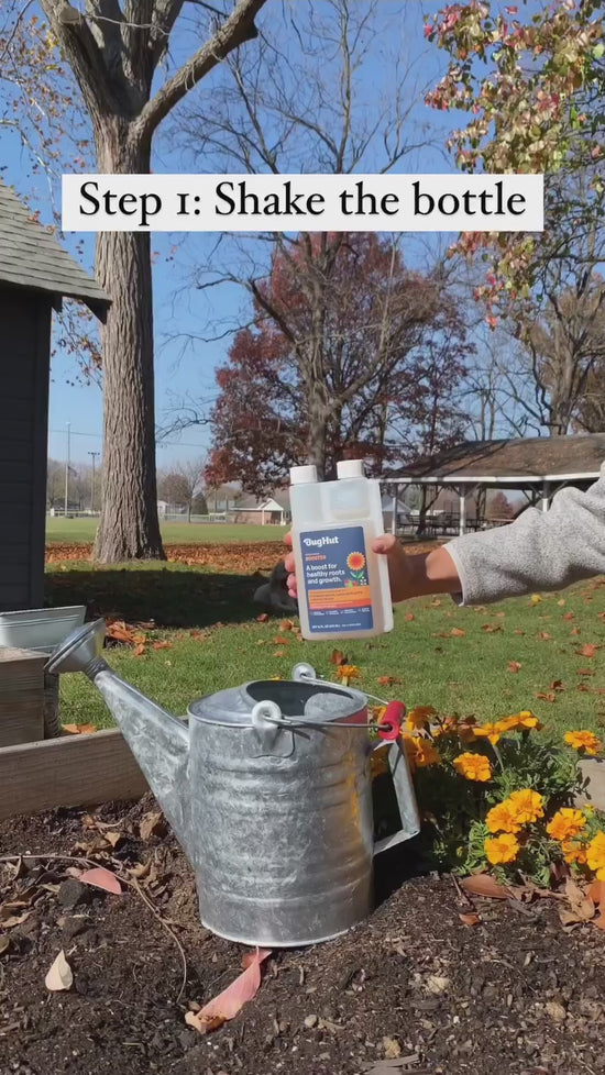 Starter Pack – BugHut