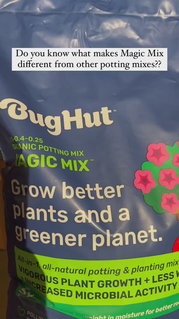 Magic Mix™ – BugHut
